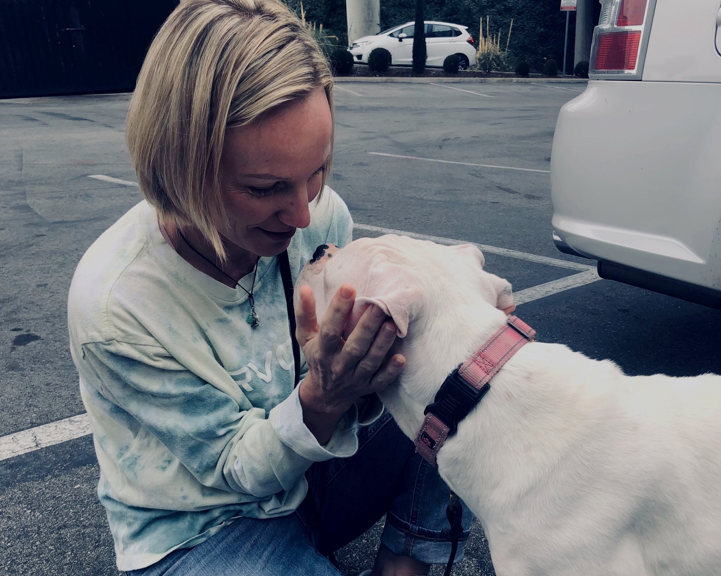 West Coast Boxer Rescue