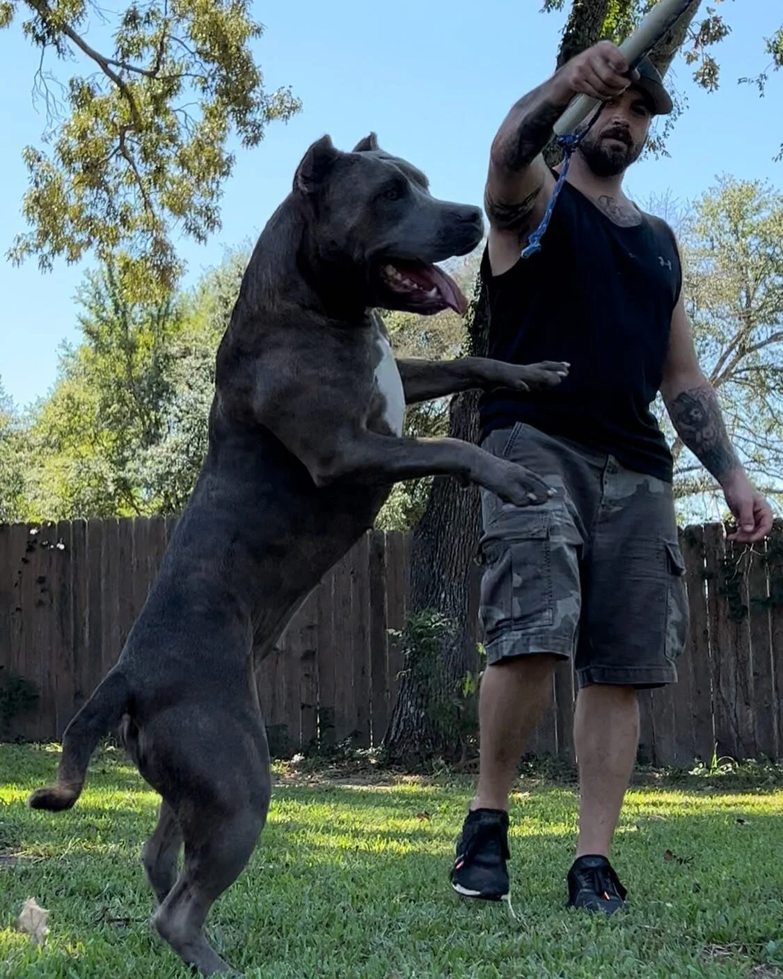 Blessed Iron Bullies