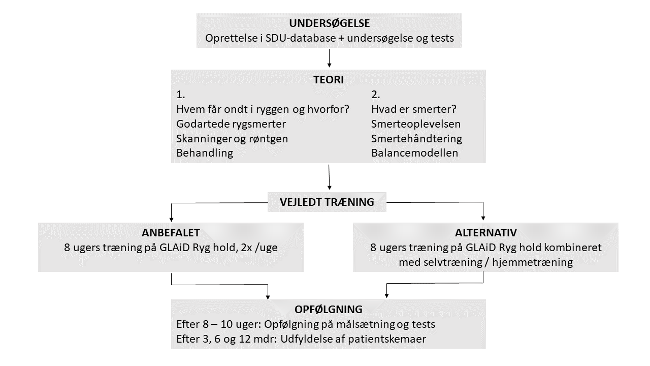 GLA:D ryg — Storegade Sportsklinik & Fysioterapi