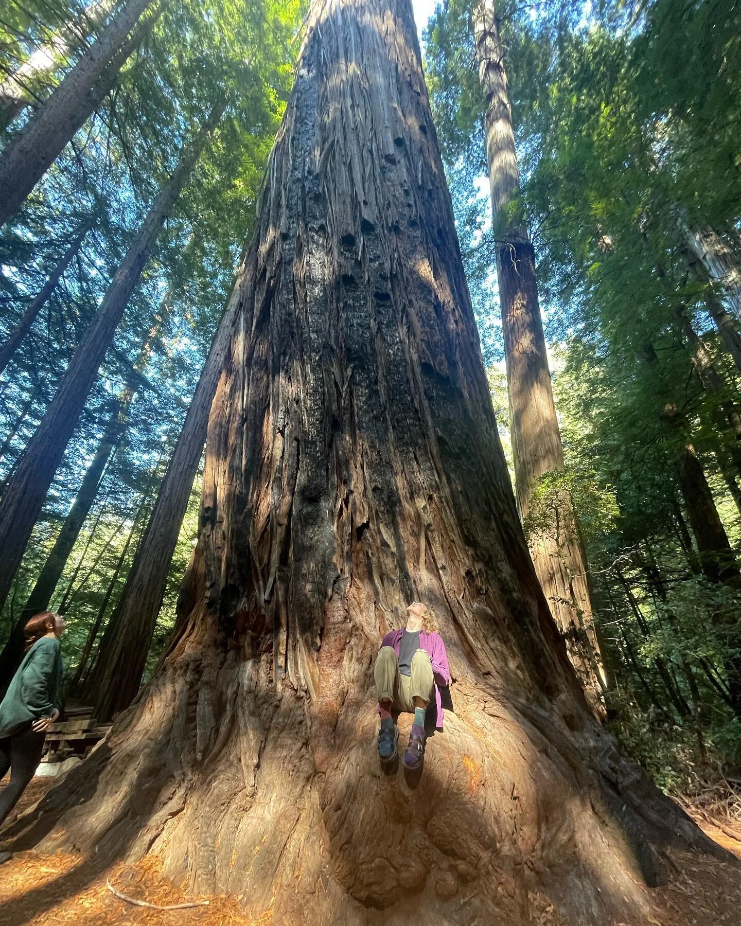 About — thomas jenkeleit