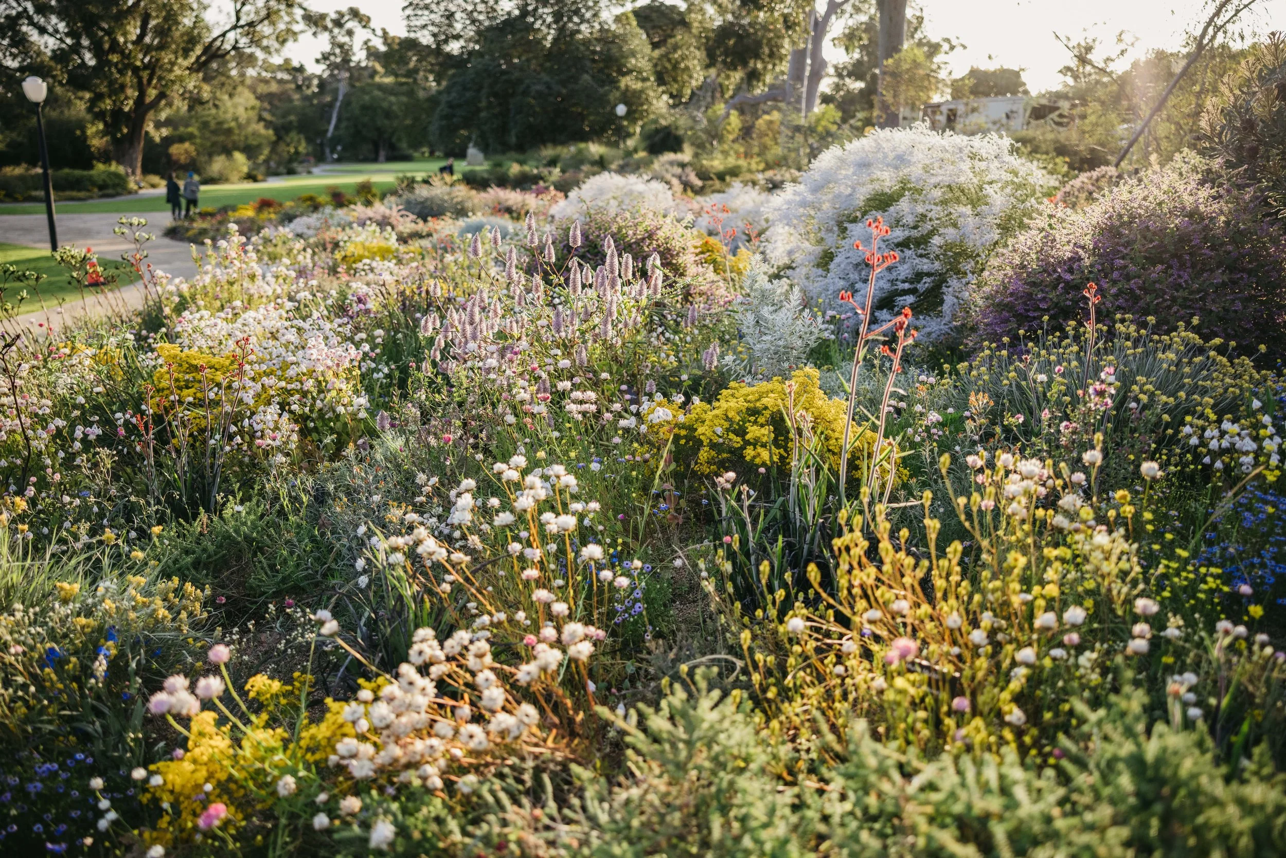Perth Tours - Day Trips, Activities and Tours from Perth