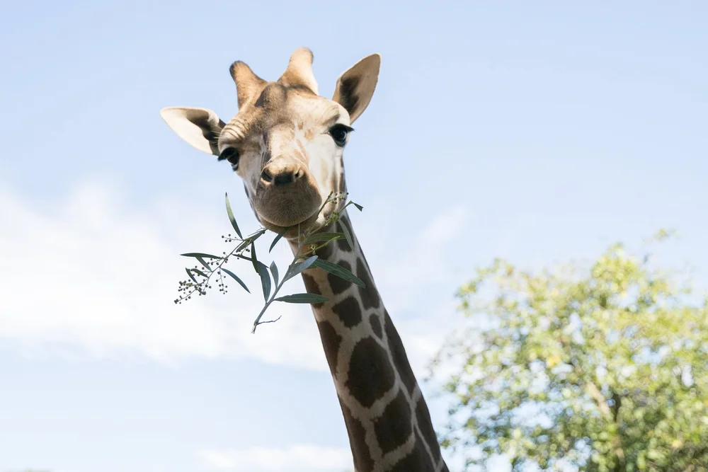 Perth Winter Guide | Things to Do and See - Indoor & Outdoor