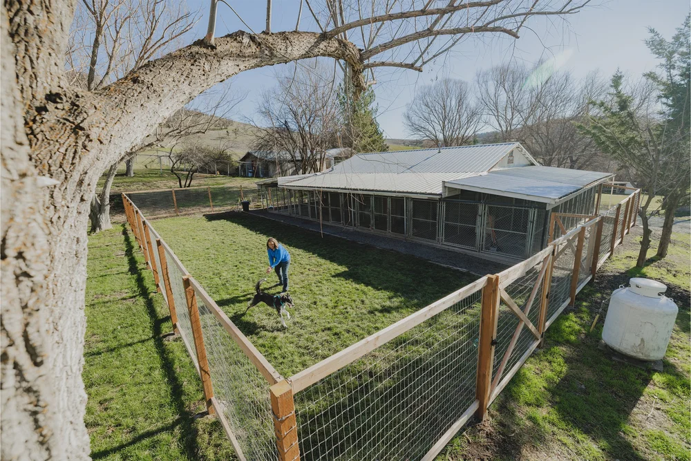 Valley View Ranch and Kennels, LLC