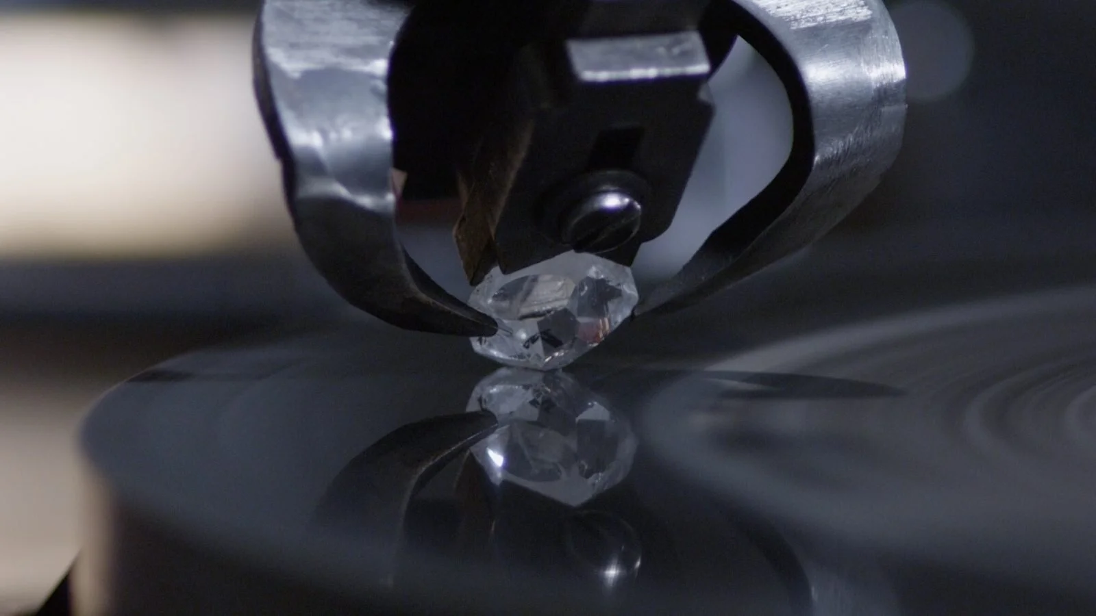 EverDear™ Cremation Diamonds from Ashes and Hair - Only from S$1,000 ...