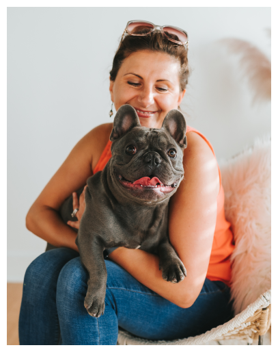 About | Discover French Bulldogs Today — Country Club Frenchies
