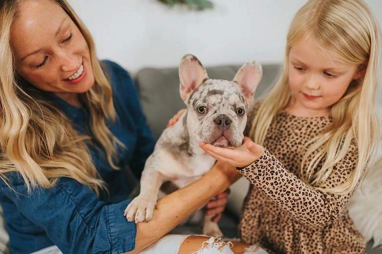 Country Club Frenchies