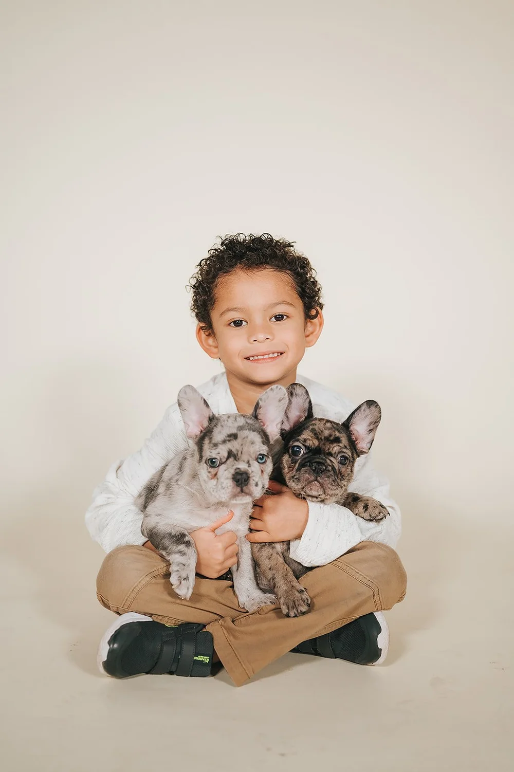 About Country Club Frenchies – Trusted French Bulldog Breeder in the ...
