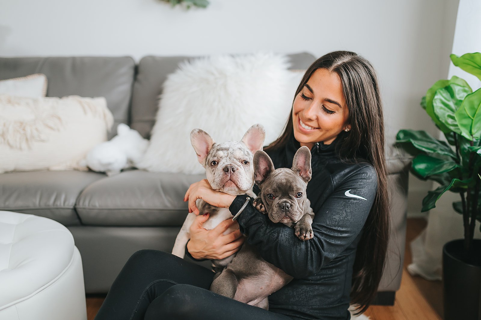 About Country Club Frenchies – Trusted French Bulldog Breeder in the ...