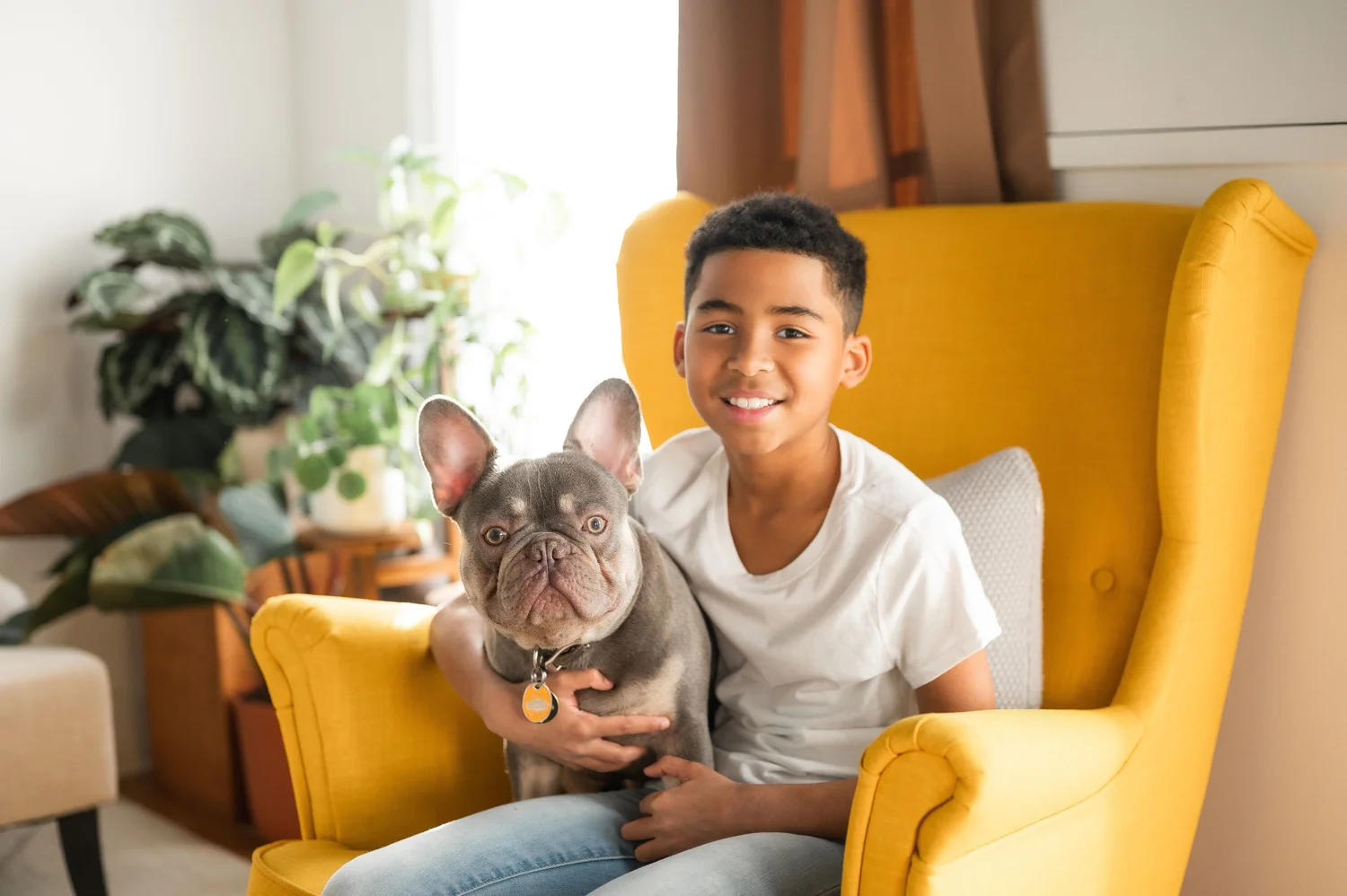 French Bulldog Puppies for Sale | Puppies Available Now | Country Club ...