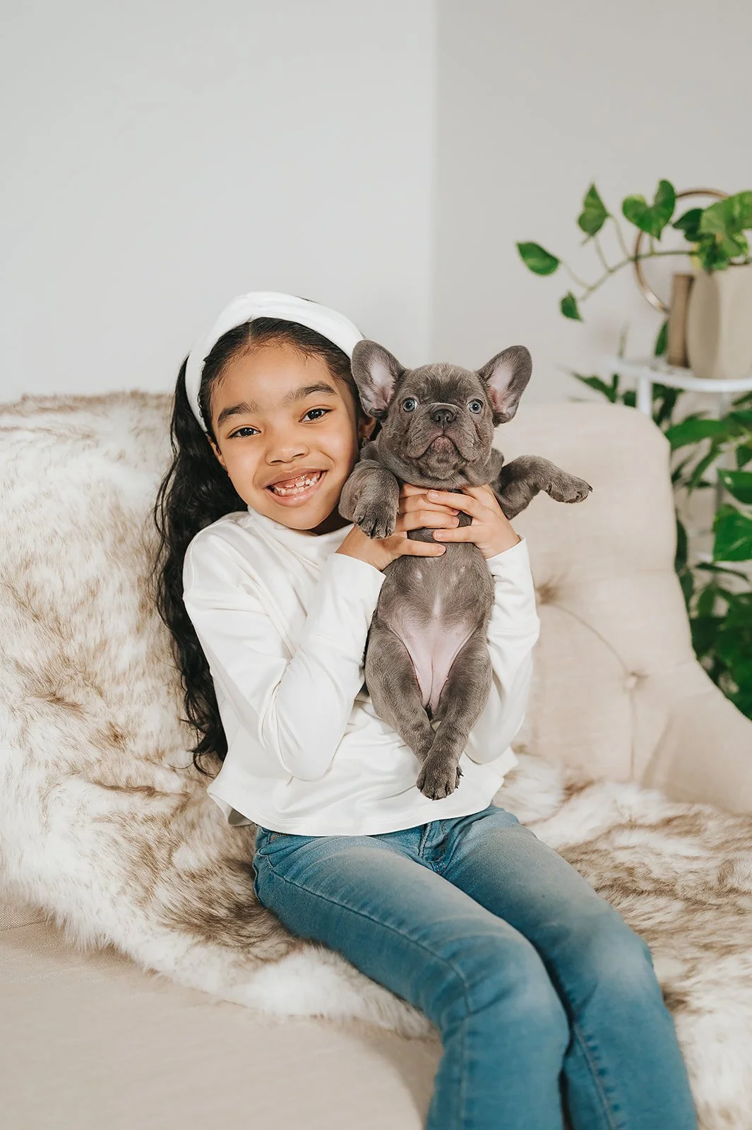 French Bulldog Puppies for Sale | Puppies Available Now | Country Club ...