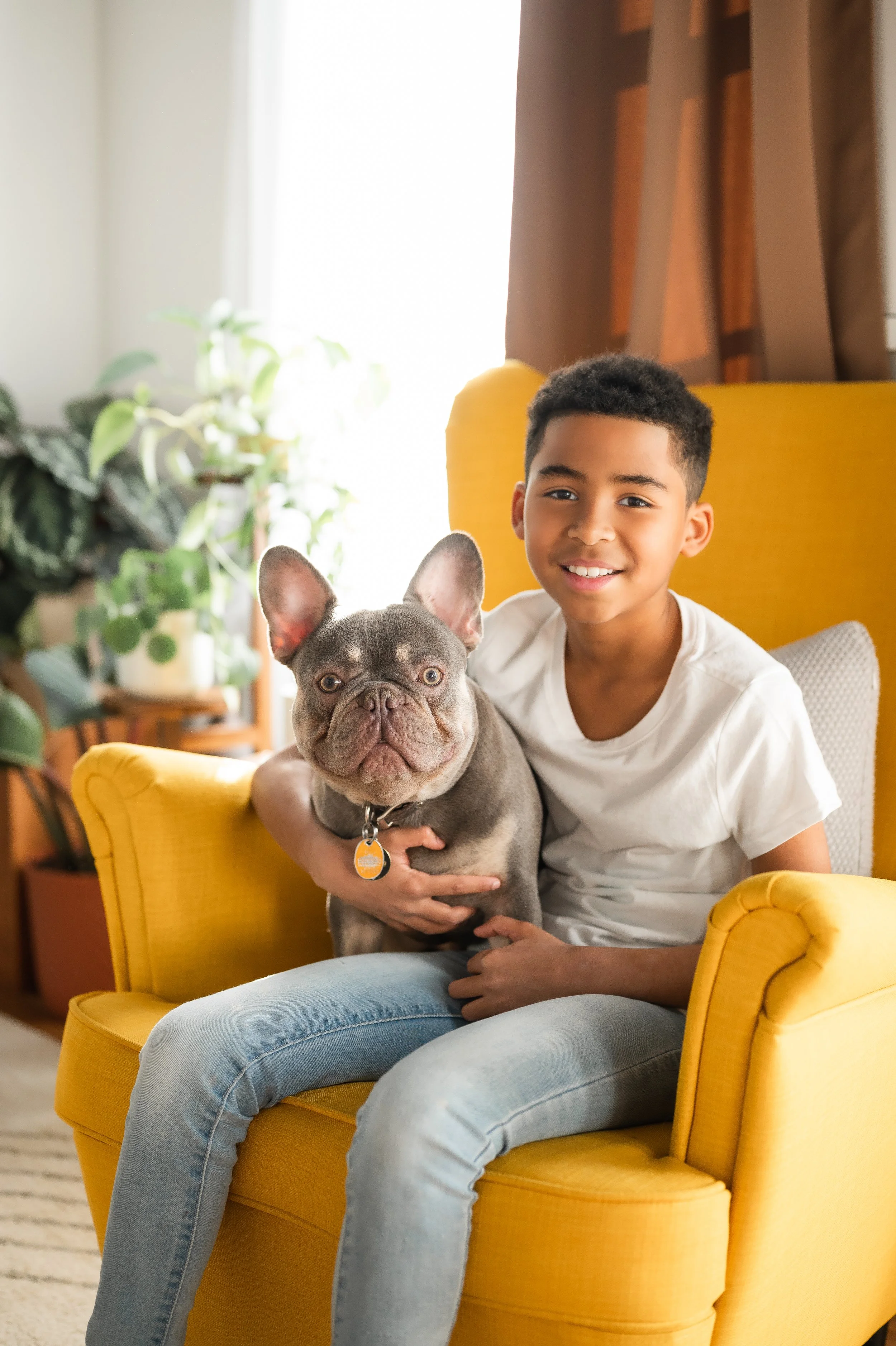 Stud Service — Country Club Frenchies