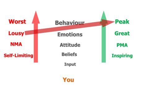 The Behavioural Triangle — Nick Bishop Coaching