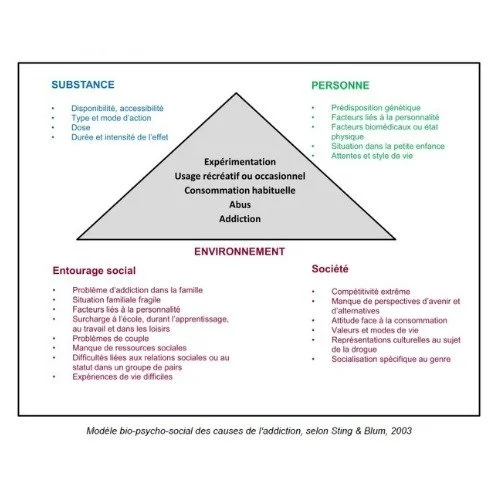 L’addiction, qu’est-ce que c’est ? — Elodie Marest, Consultante ...