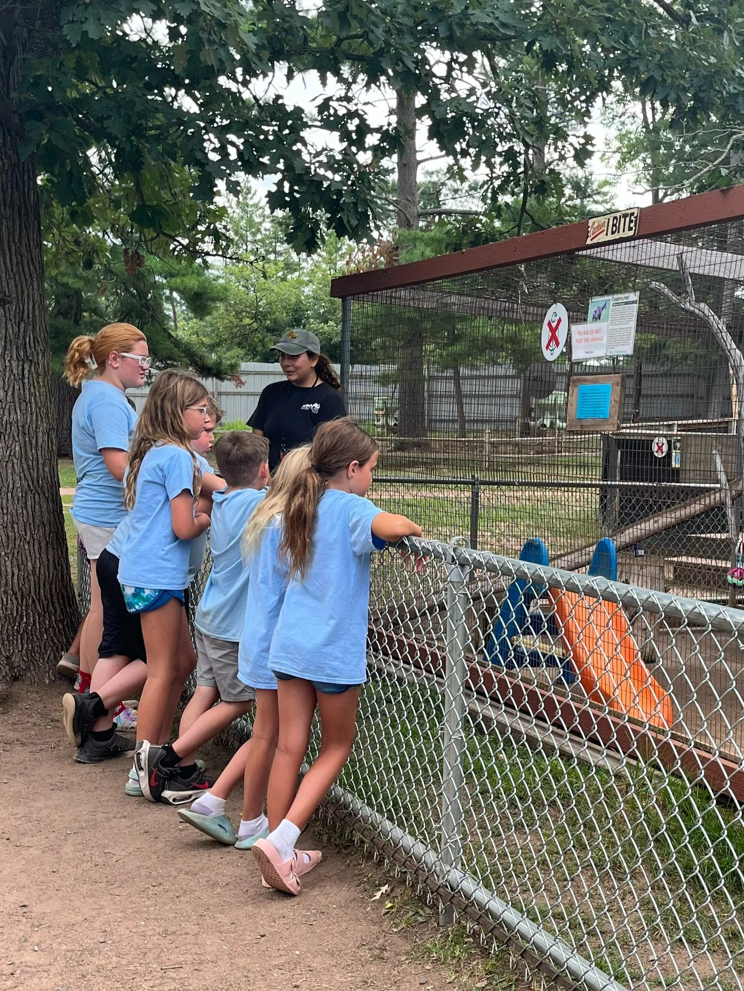 General 1 — Wilderness Walk Zoo