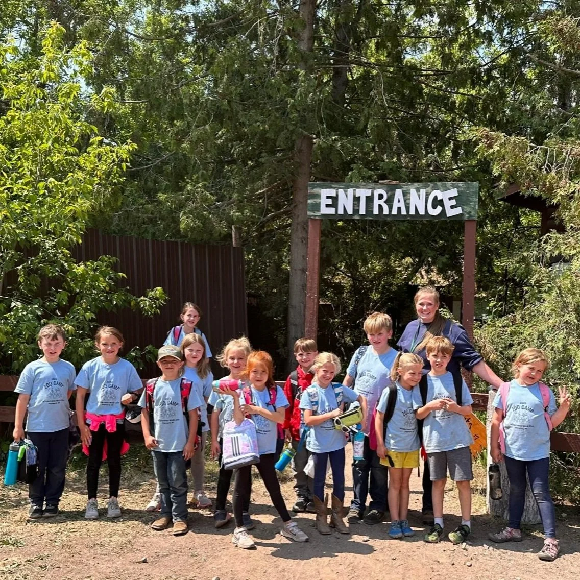 Zoo Camp — Wilderness Walk Zoo