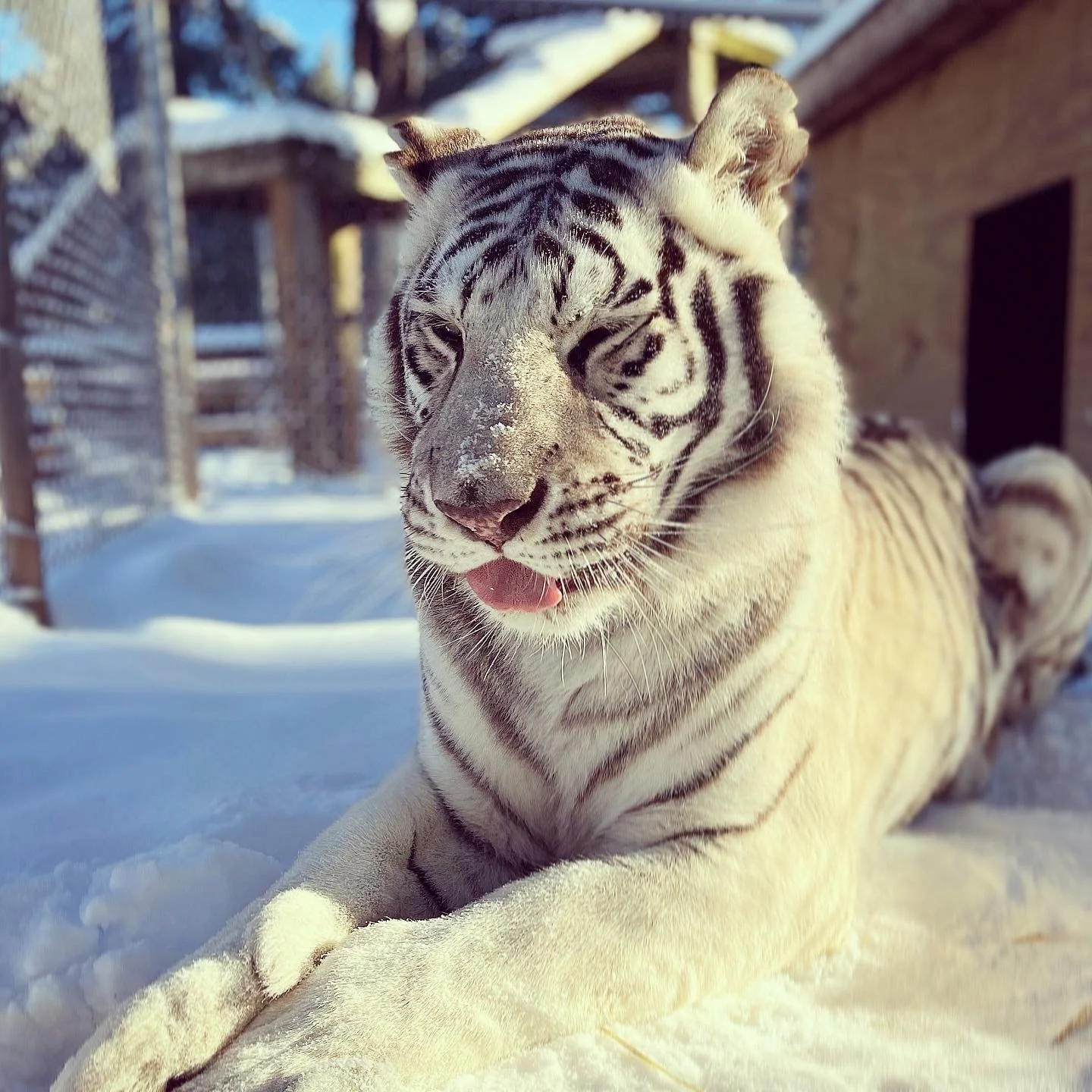 About 1 — Wilderness Walk Zoo