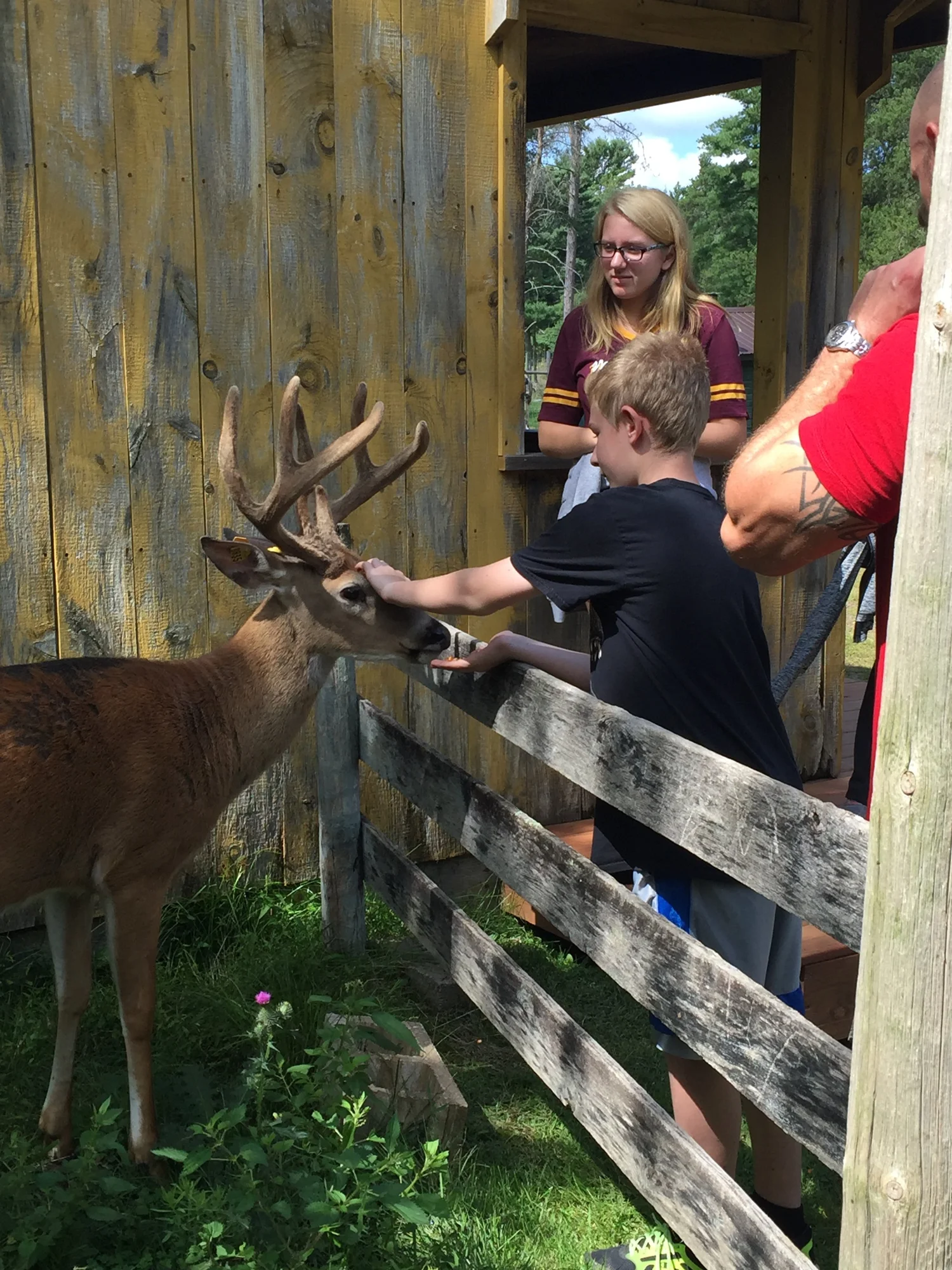 Admission & Hours — Wilderness Walk Zoo