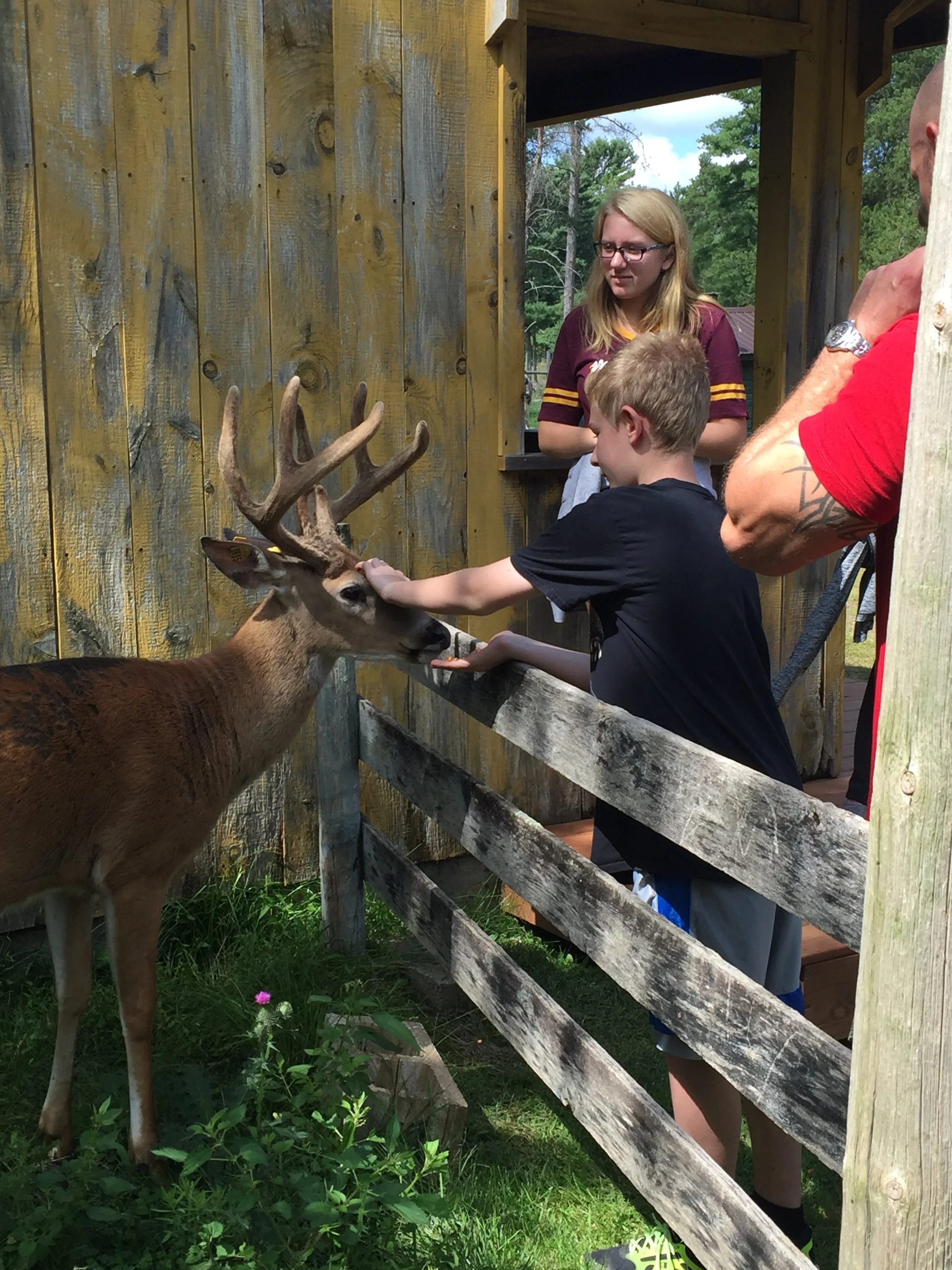 Admission & Hours — Wilderness Walk Zoo