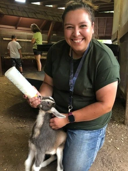 Services 2 — Wilderness Walk Zoo