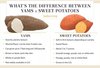 The History of Yams: From West Africa to Black American Sunday Dinners ...