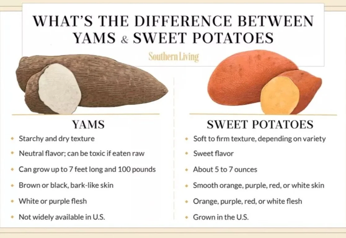 The History of Yams: From West Africa to Black American Sunday Dinners ...