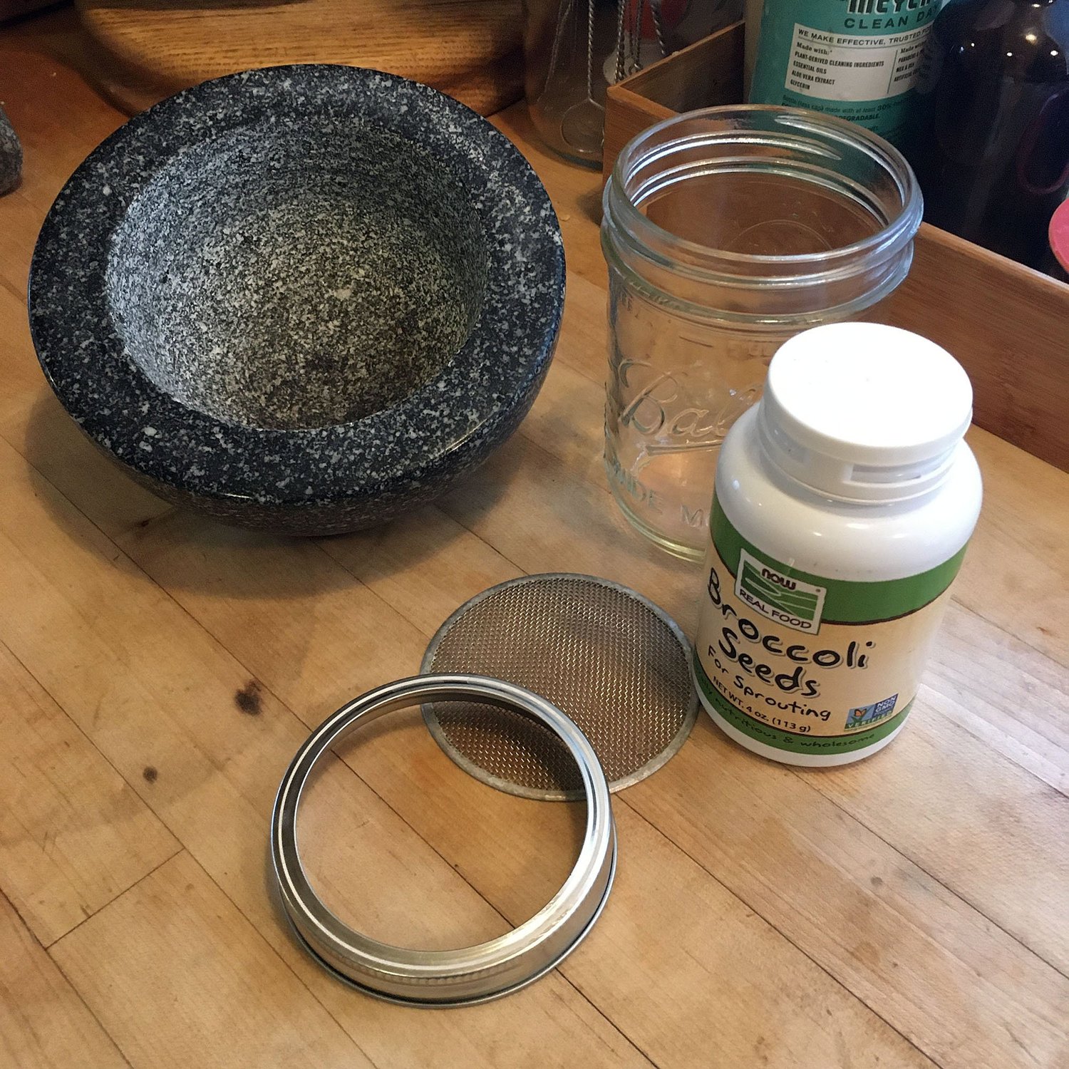 How to: Countertop Garden Broccoli Sprouts — Green Witch Vintage & Handmade