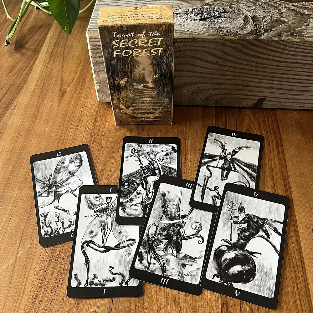 Tarot Of The Secret Forest