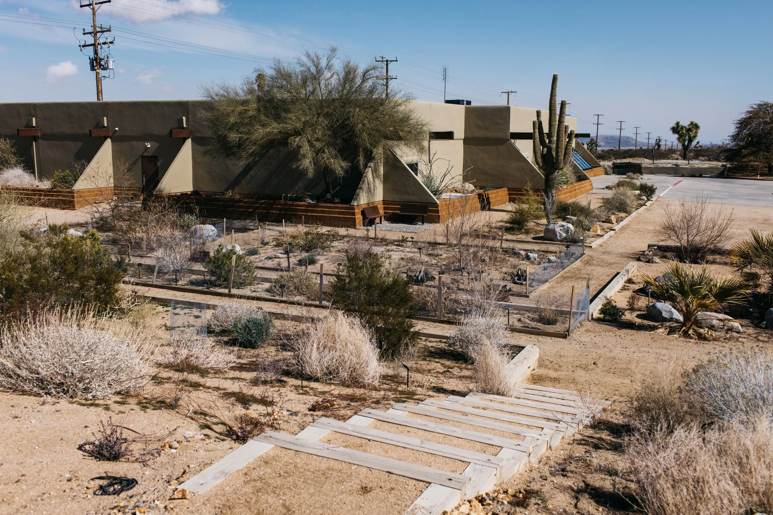 Get involved — Mojave Desert Land Trust