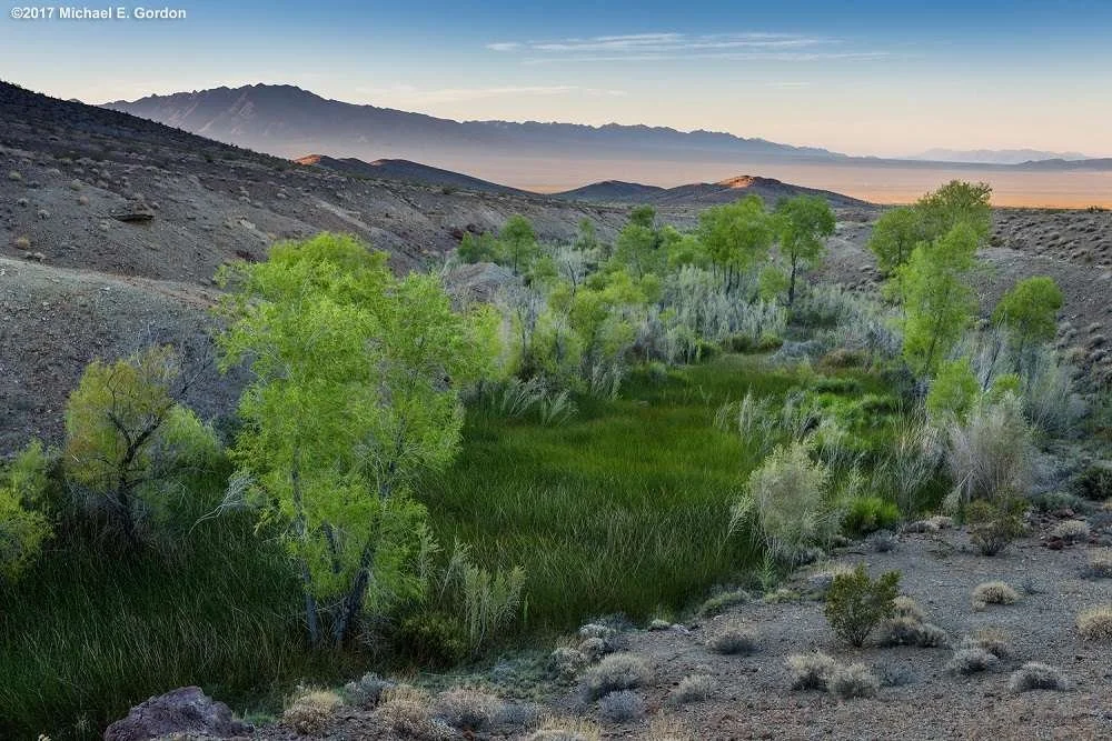 Advocacy — Mojave Desert Land Trust