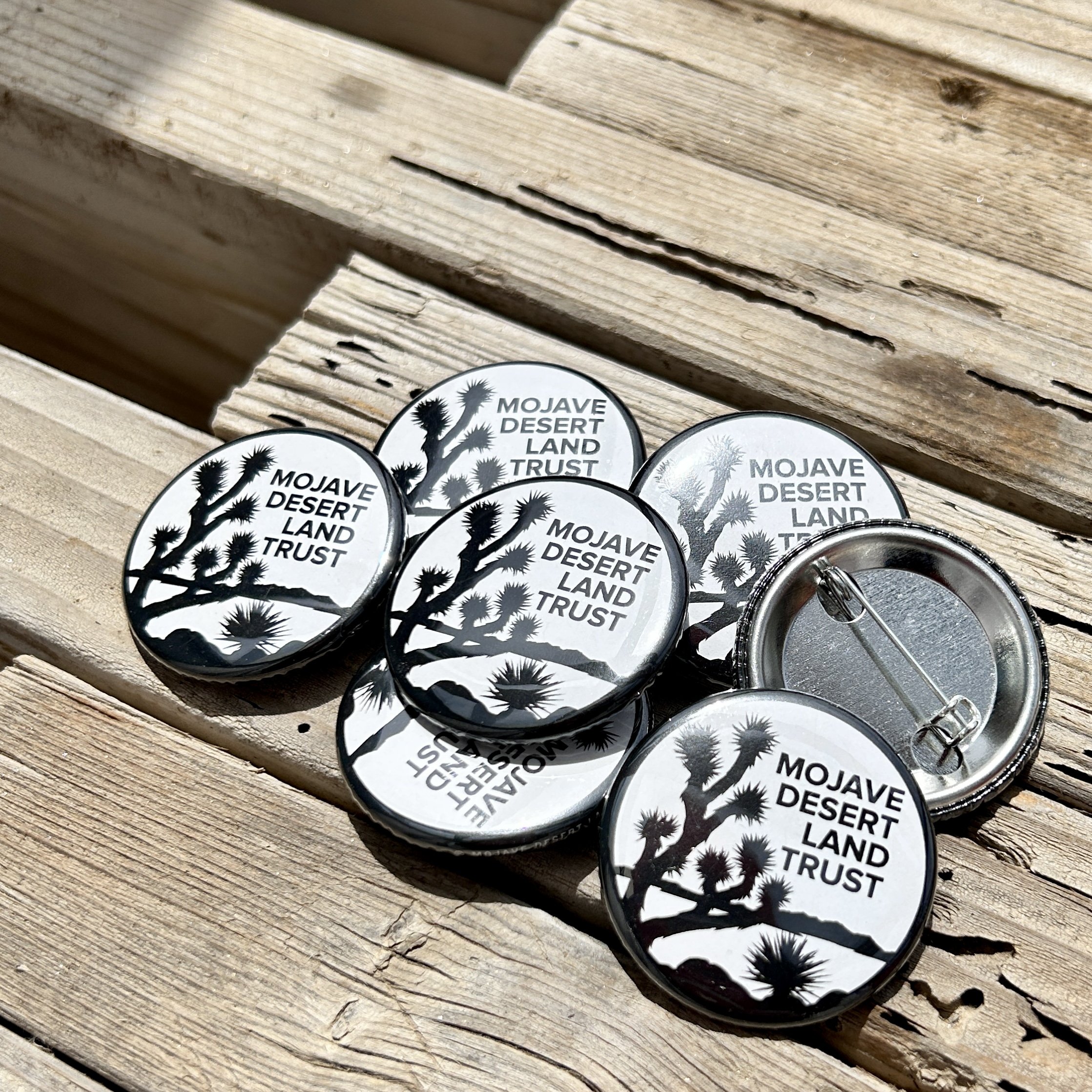 We can do it! Magnet — Mojave Desert Land Trust