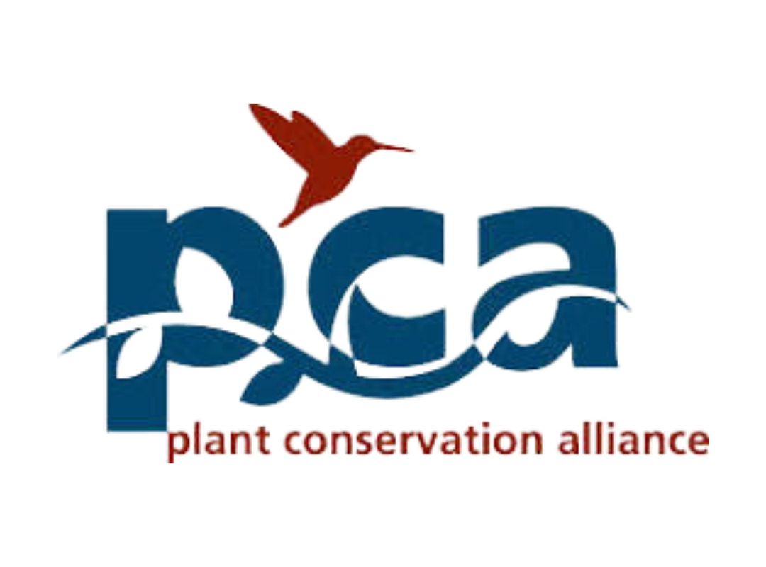 Know your desert pollinators, and the plants they rely on — Mojave ...