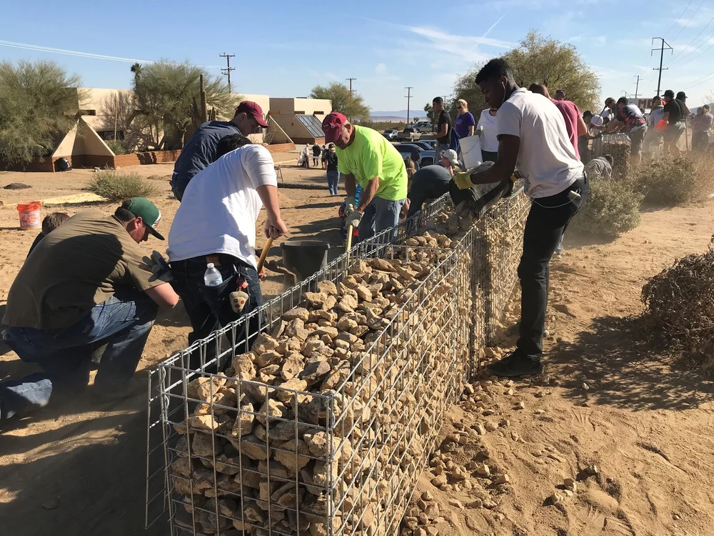 Plant Conservation — Mojave Desert Land Trust