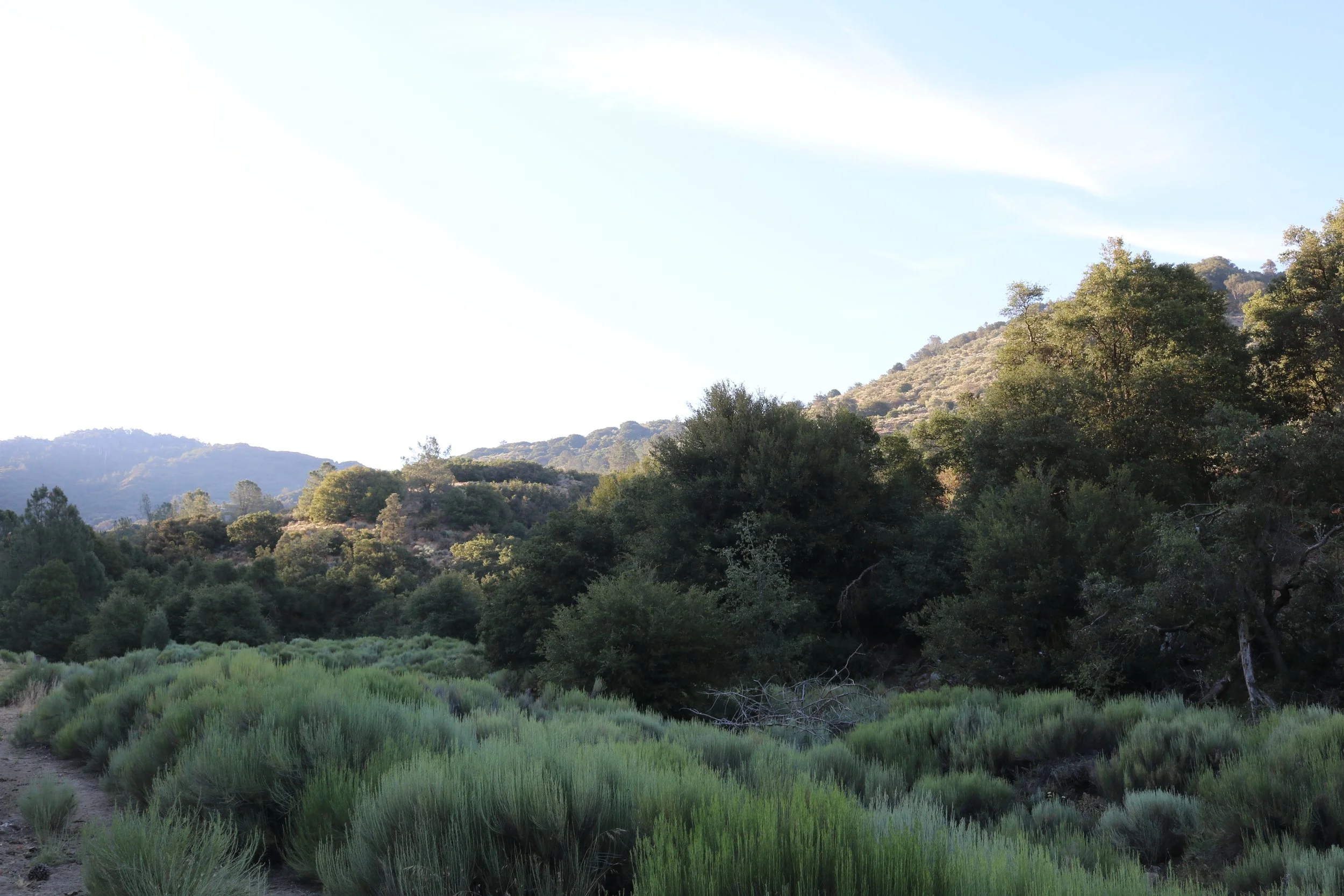 Caliente Creek: community-centered conservation — Mojave Desert Land Trust