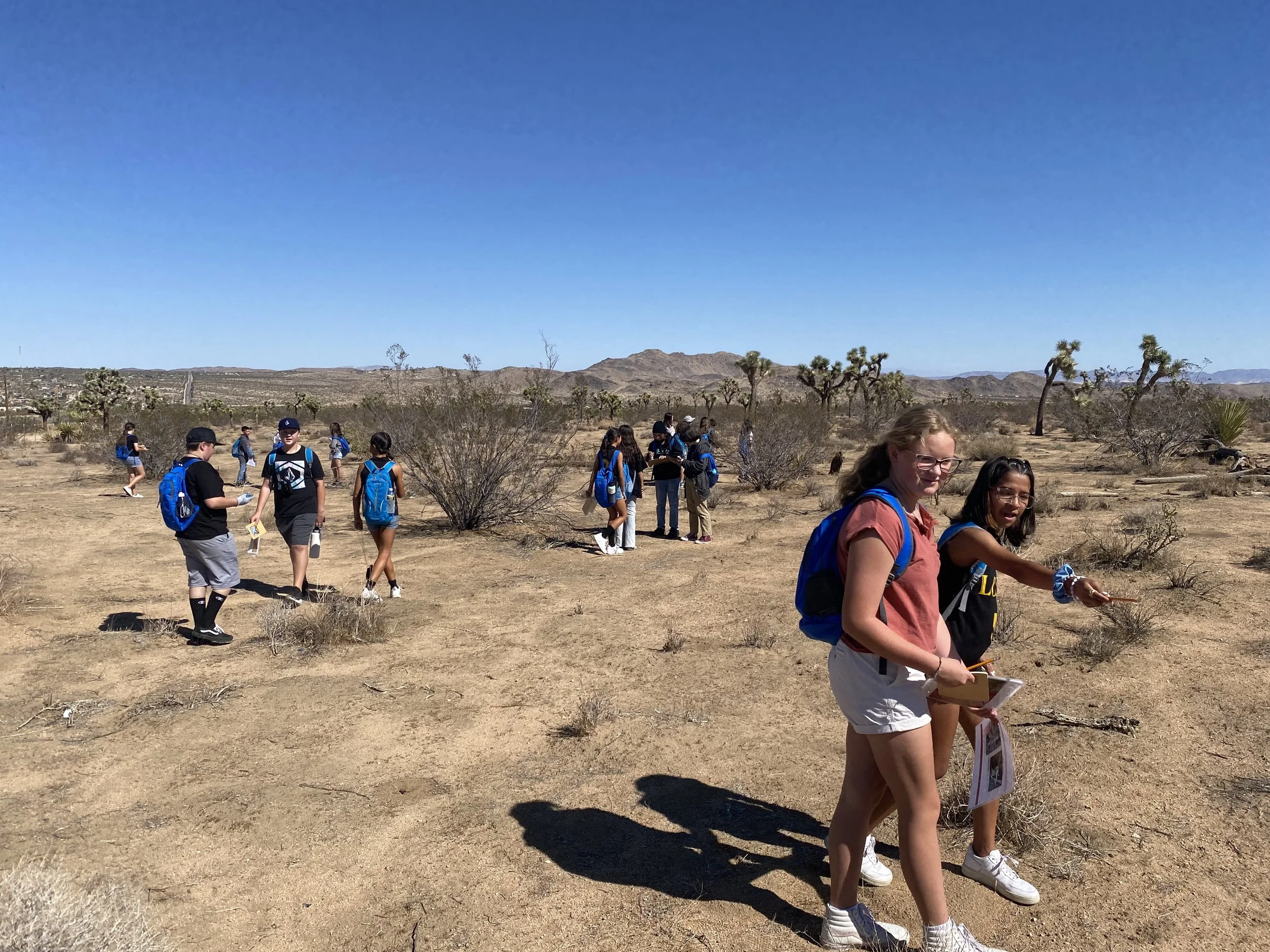 Desert Discovery Field Studies — Mojave Desert Land Trust