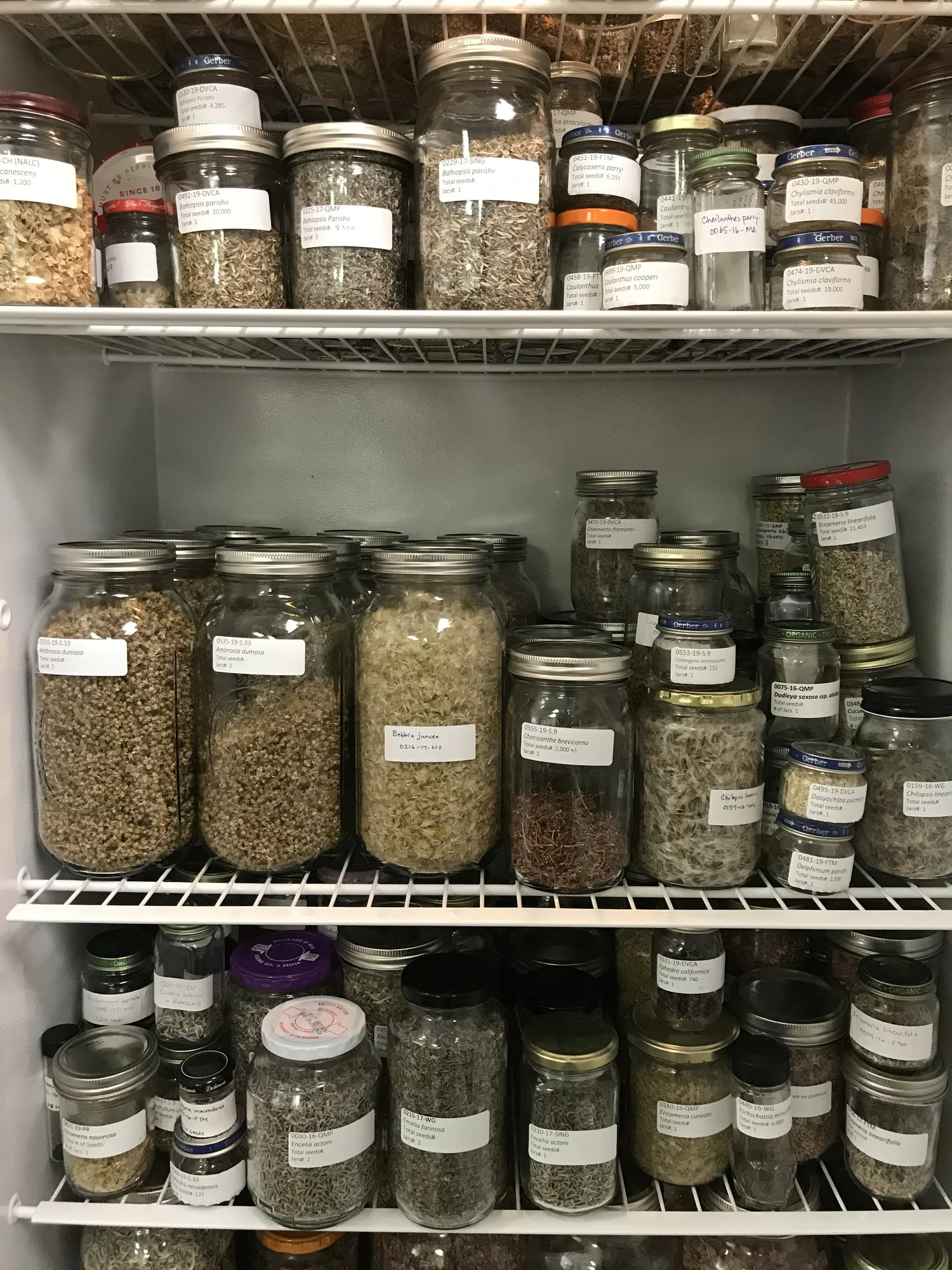 Plant Conservation — Mojave Desert Land Trust