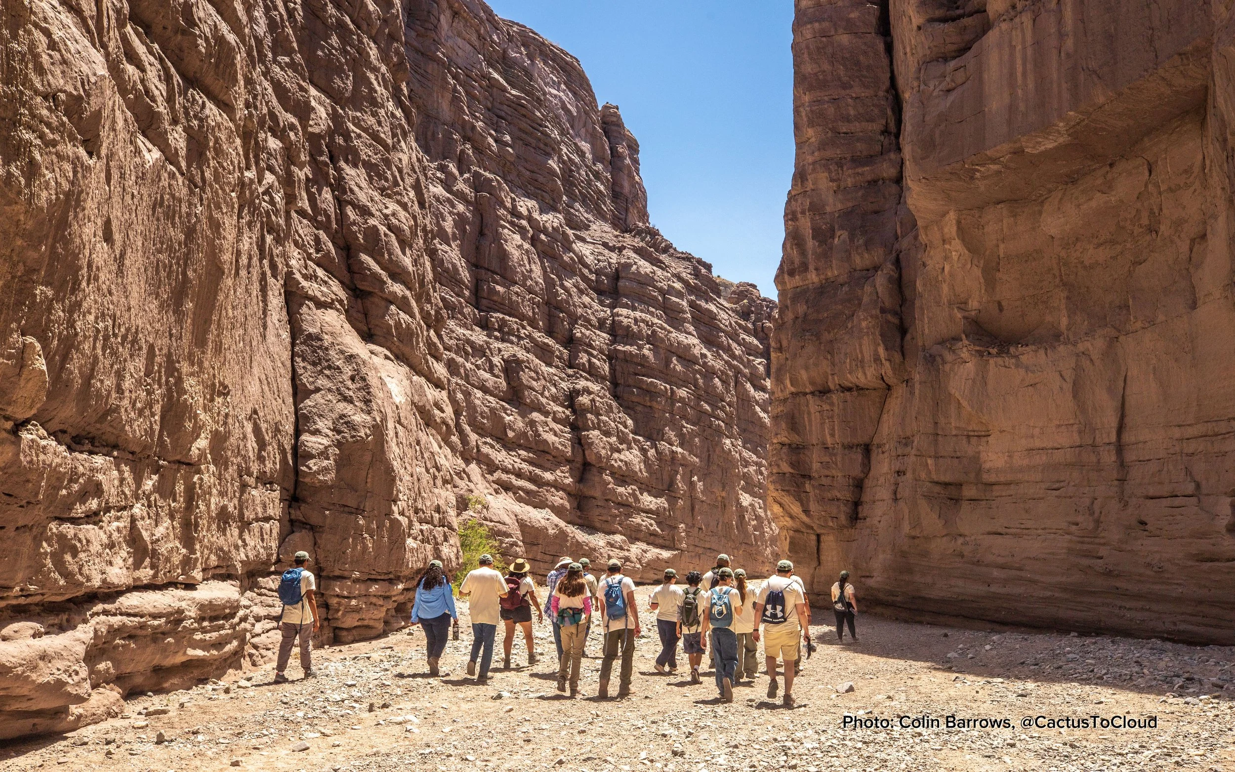 Chuckwalla National Monument — Mojave Desert Land Trust
