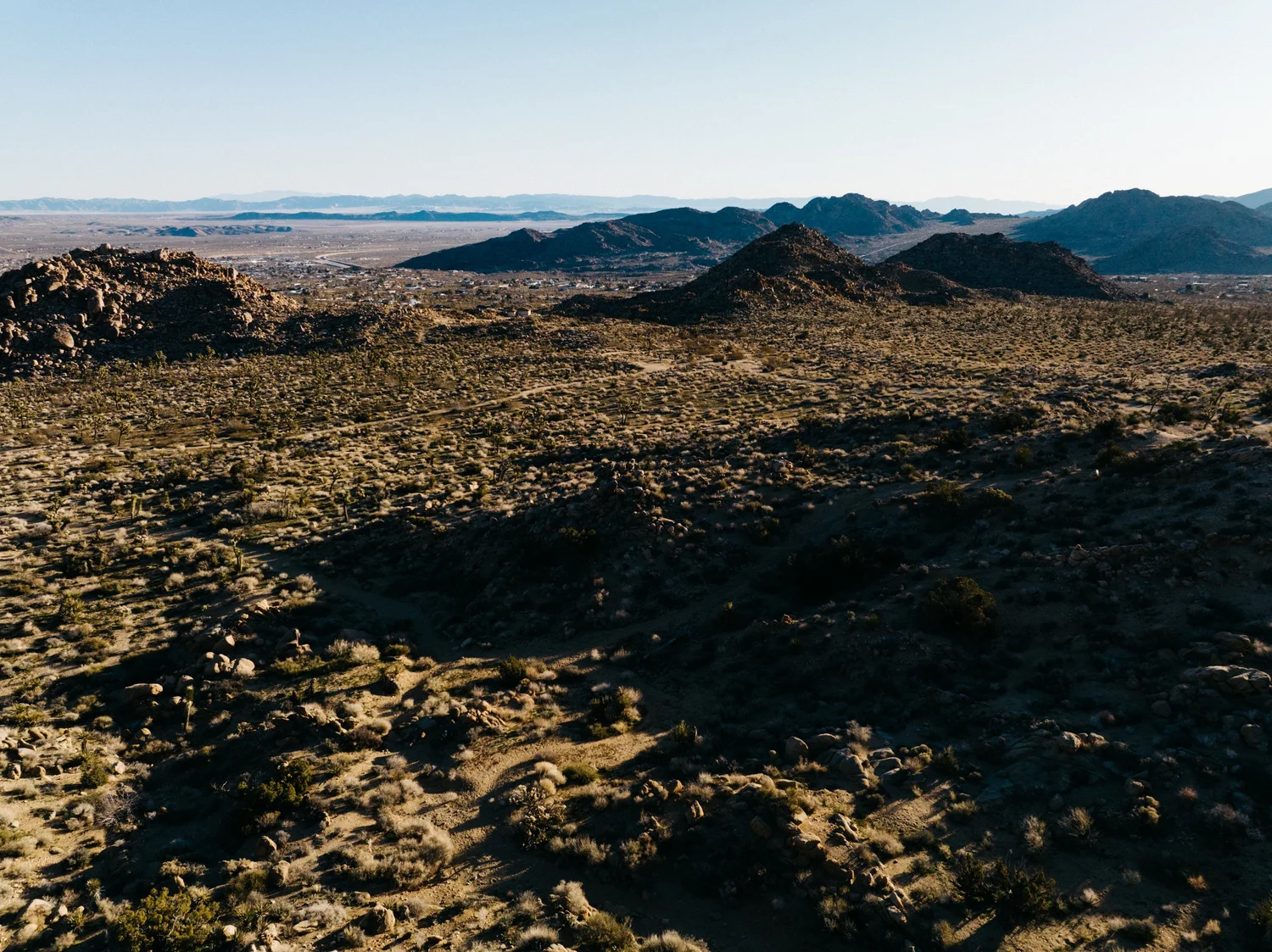Advocacy — Mojave Desert Land Trust
