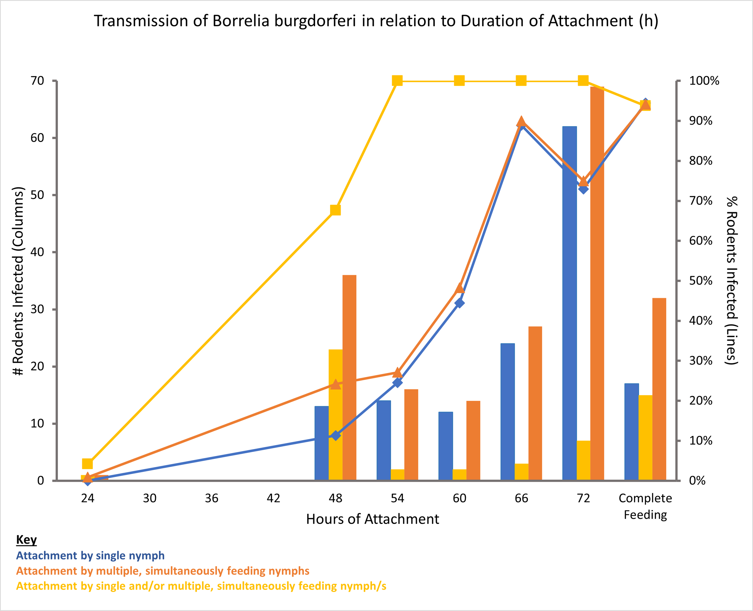 Transmission time for Lyme Bacteria: how long does it take for ticks to ...
