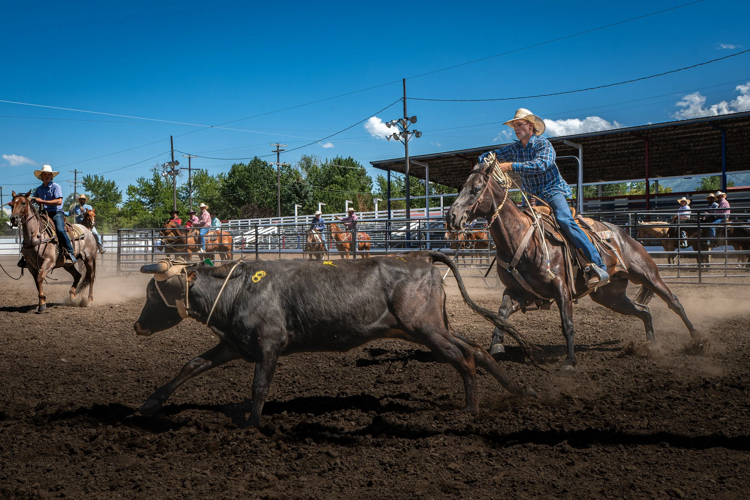 CJD Ranch Rodeo | Join the Adventure — Chief Joseph Days Rodeo