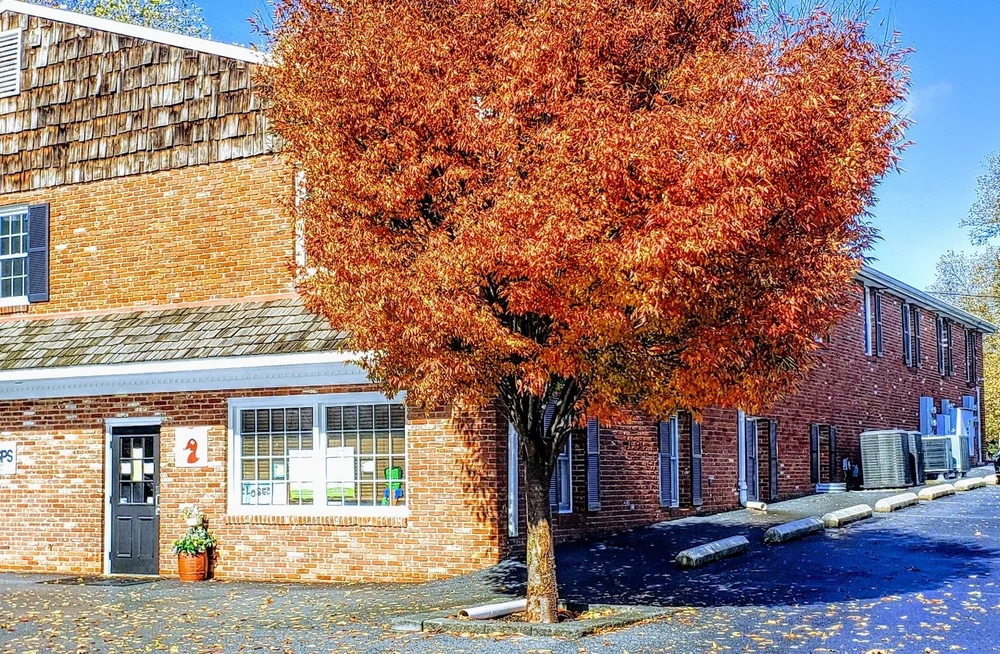 Lancaster Creative Reuse