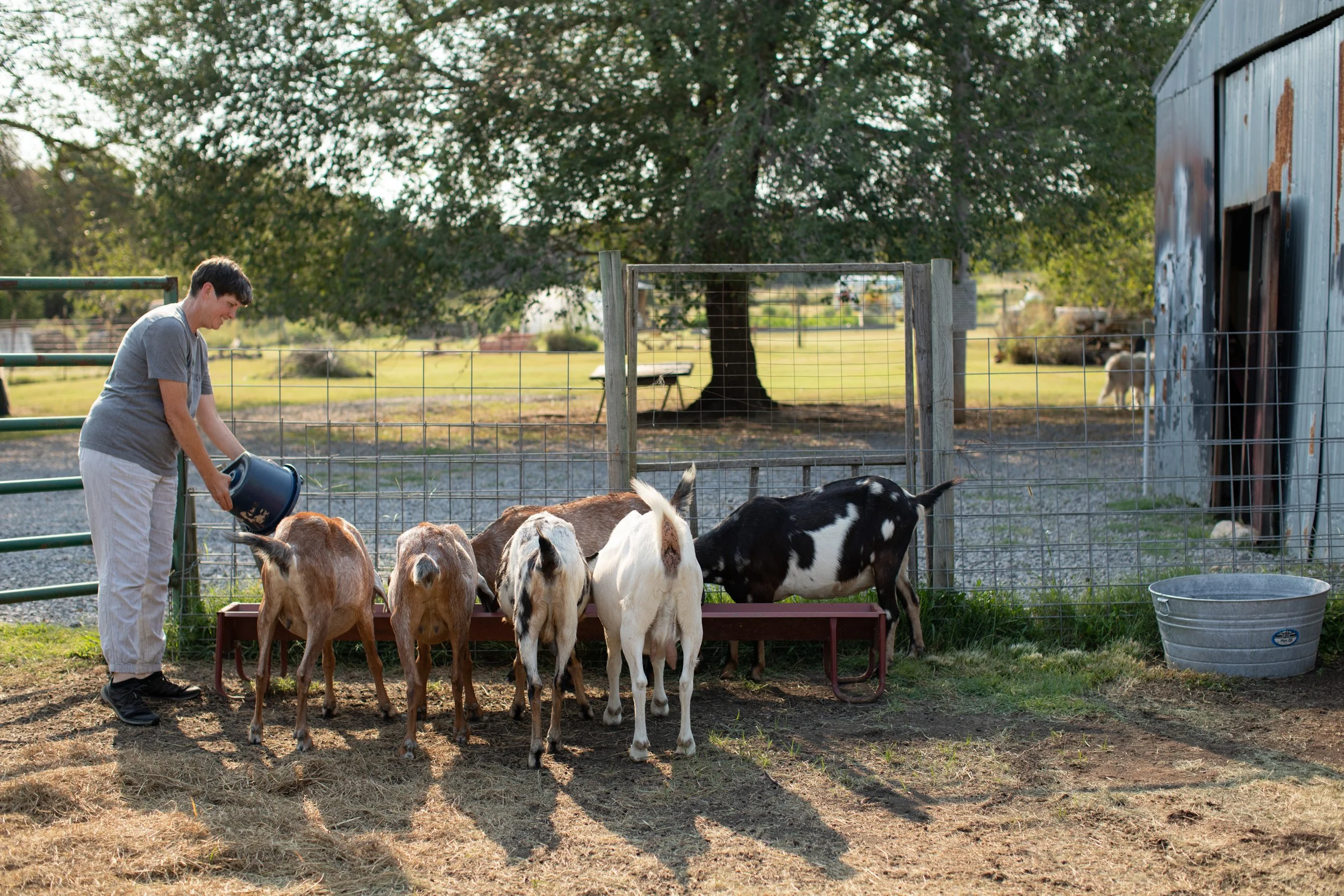 Living Kitchen Farm & Dairy - Farm Dining in Oklahoma