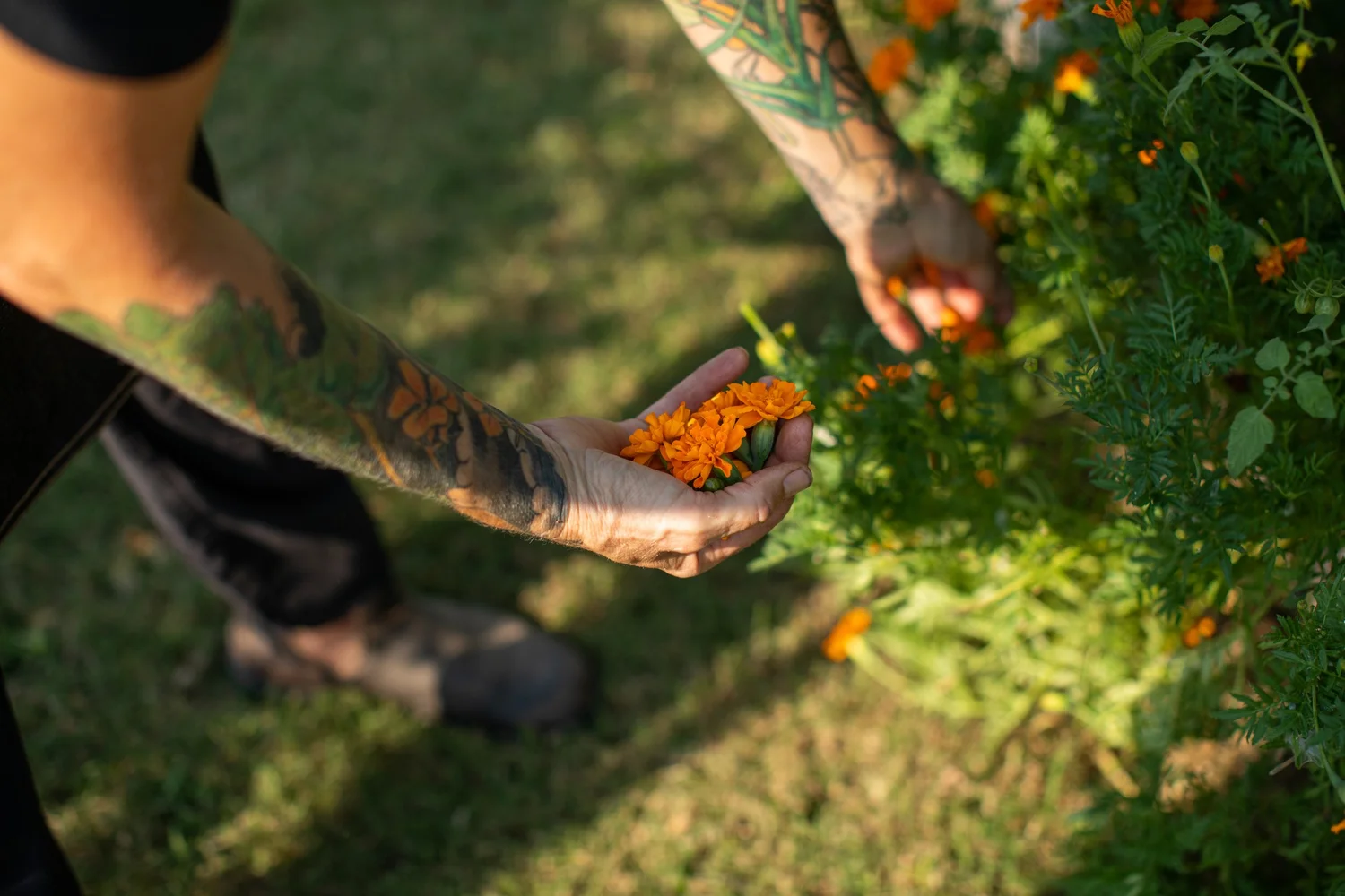 Living Kitchen Farm & Dairy - Farm Dining in Oklahoma