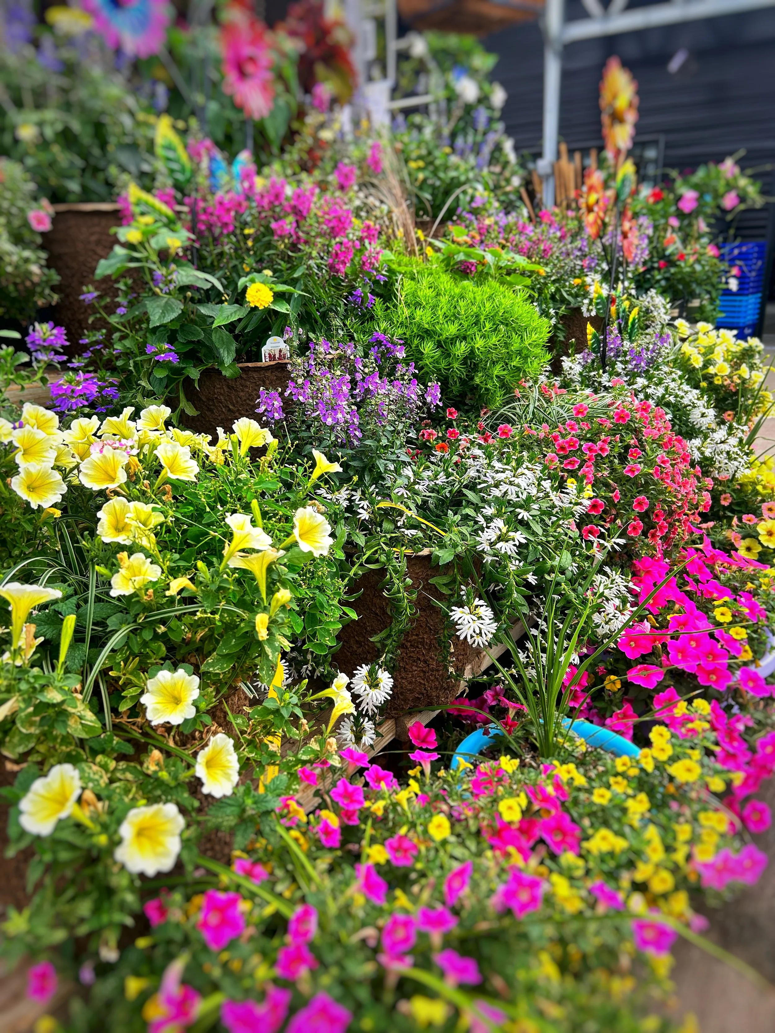 Garden Center — Landscape Garden Centers | Sioux Falls, SD