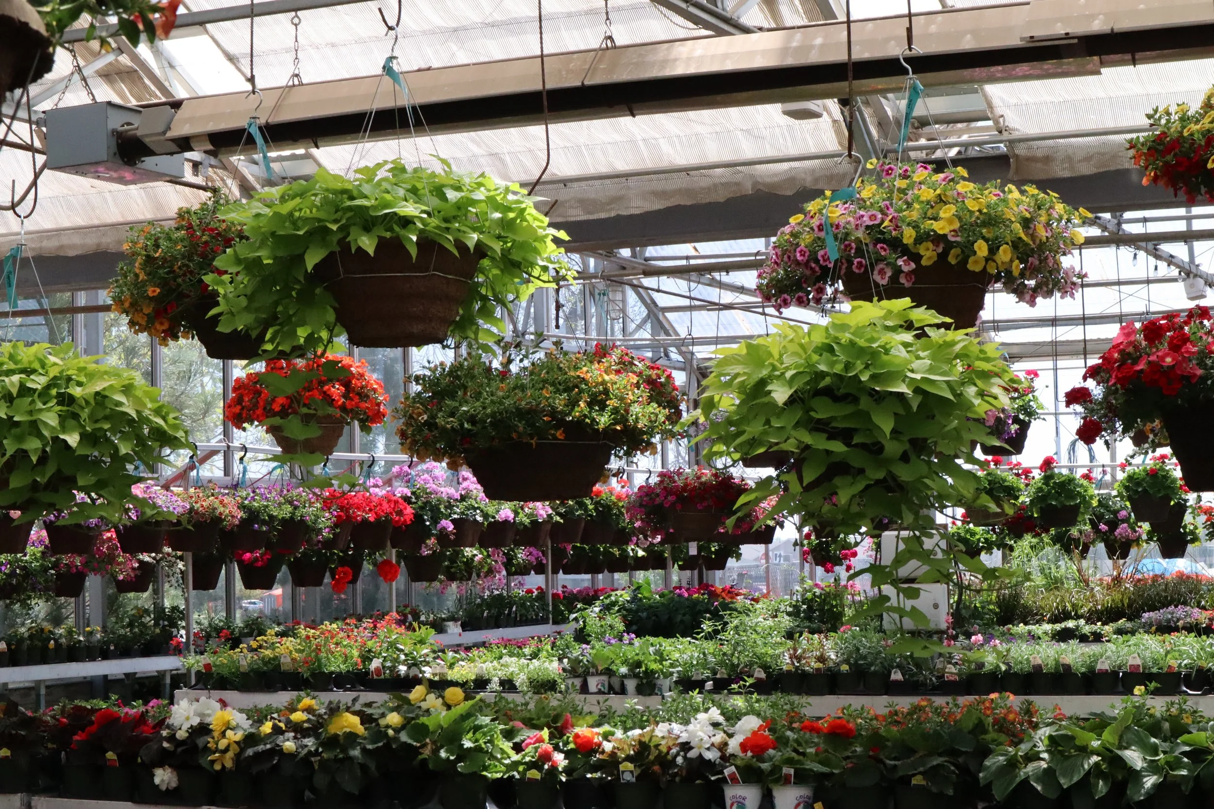 Garden Center — Landscape Garden Centers | Sioux Falls, SD