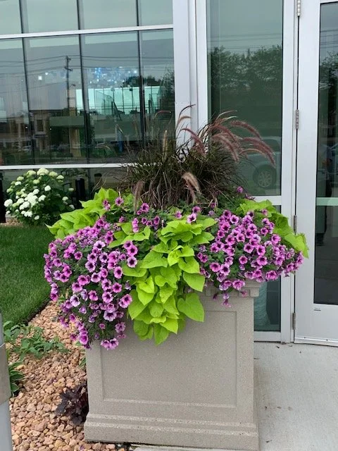 Annual Container Form — Landscape Garden Centers | Sioux Falls, SD