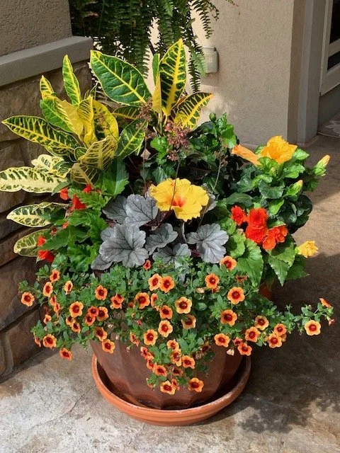 Annual Container Form — Landscape Garden Centers | Sioux Falls, SD