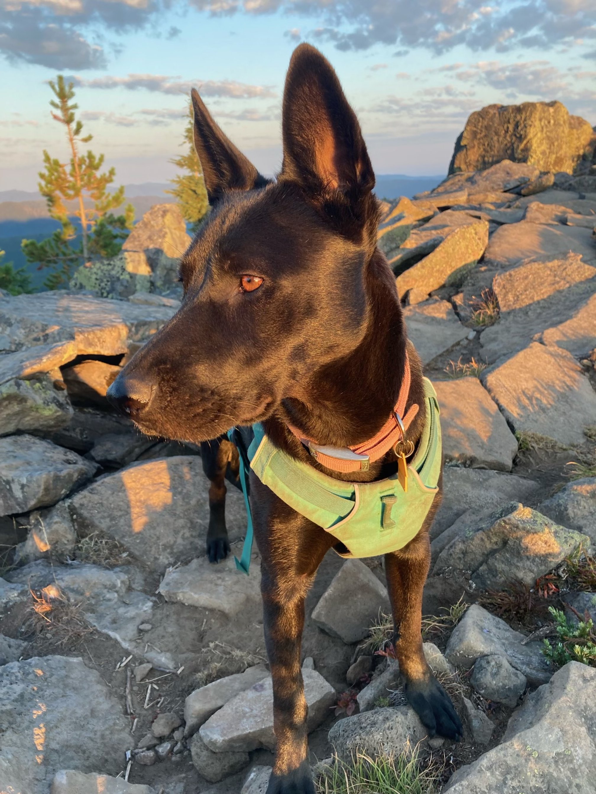 Megan Laughlin Bio | One Security