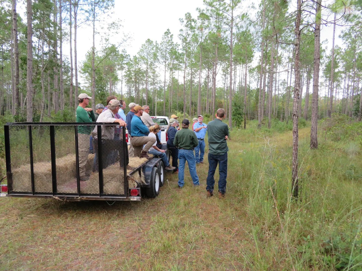 Become A Member / Membership Application Form — North Florida ...