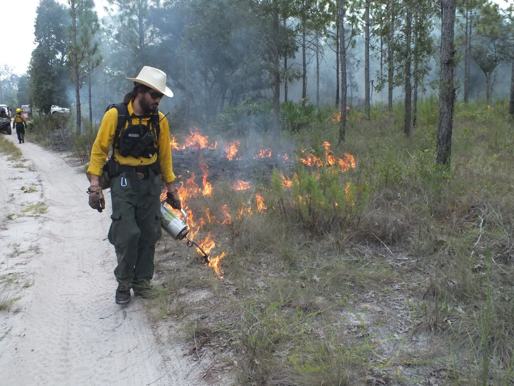 North Florida Prescribed Burn Association