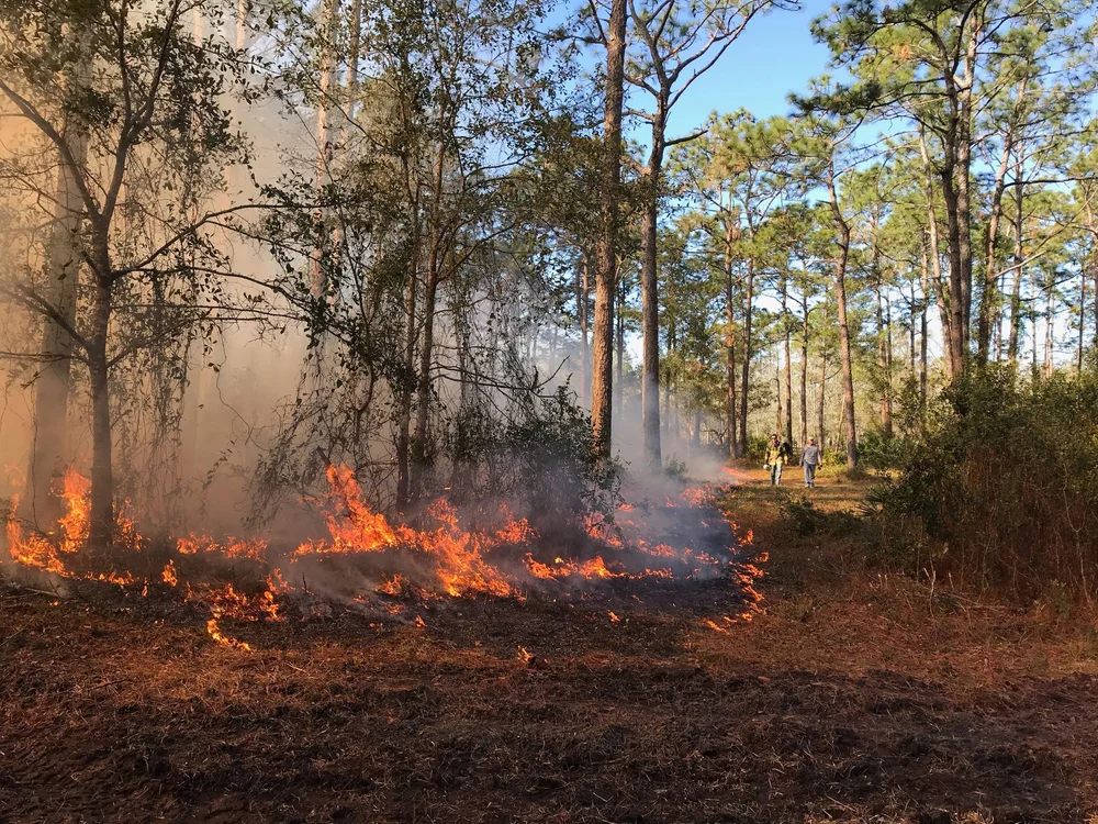 North Florida Prescribed Burn Association